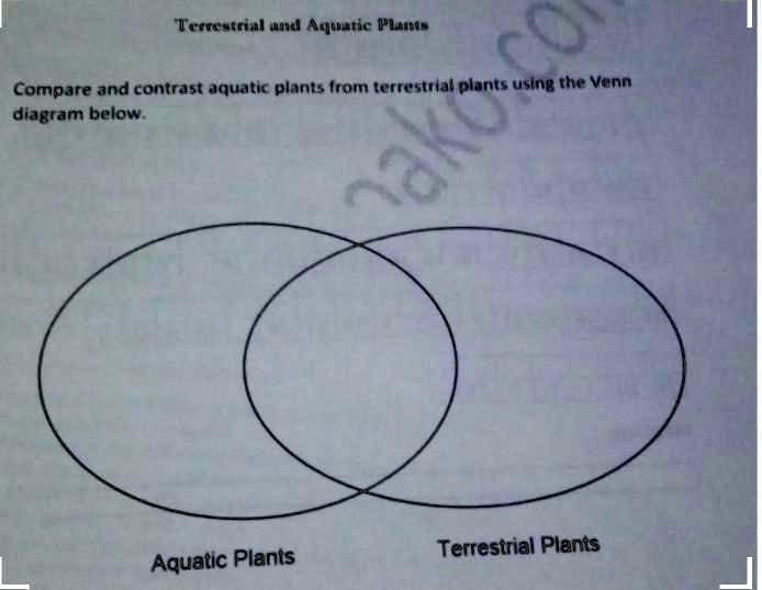 SOLVED: Pa sagot nito pls. Kailangan ko lang po talaga ng sagot ...