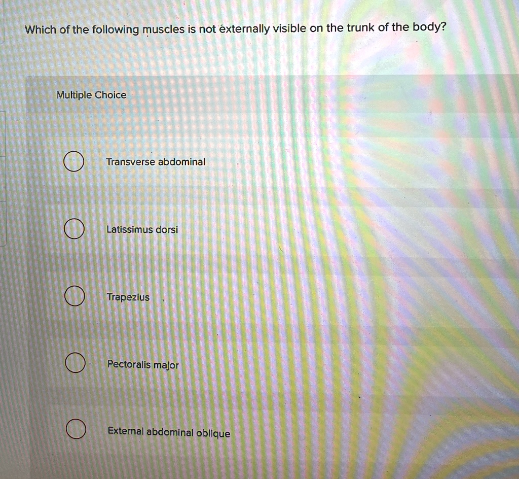 Which of the following muscles is not externally visible on the trunk ...