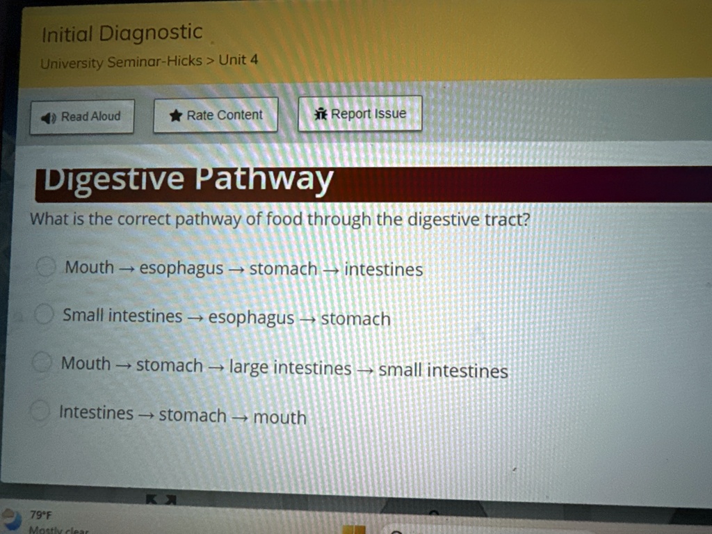 initial diagnostic university seminar hicks unit 4 digestive pathway what is the correct pathway ...