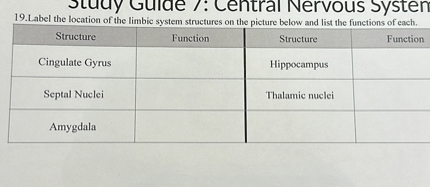 19. Label the location of the limbic system structures on the picture ...