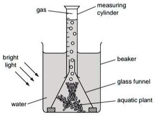 The diagram shows the apparatus used in an investigation to measure the ...