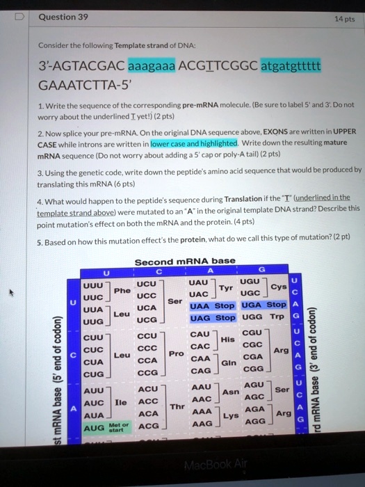 SOLVED: Question 39 Lapts Consider Inc following Template strandof DNA: 3-AGTACGAC aaagaaa ...