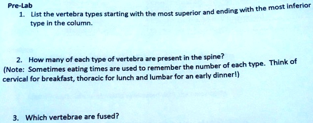 [GET ANSWER] Pre-Lab 1. List the vertebra types starting with the most ...