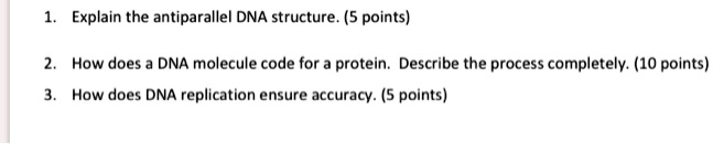 1. Explain the antiparallel DNA structure. (5 points) 2. How does a DNA ...