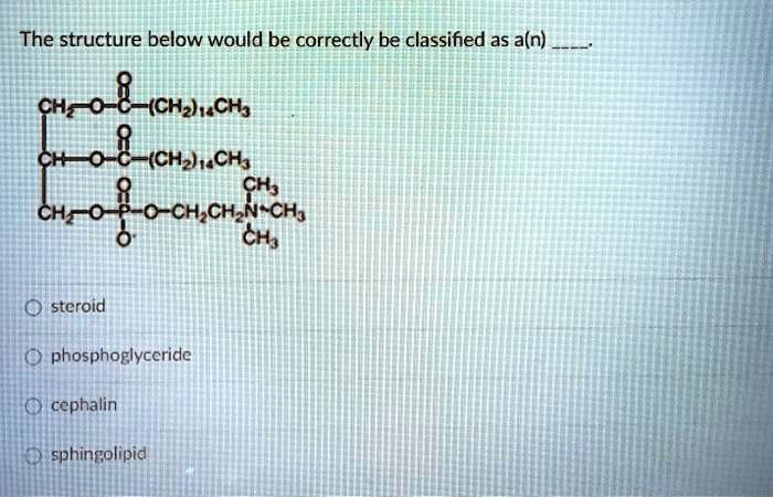 SOLVED: The structure below would correctly be classified as alanine ...