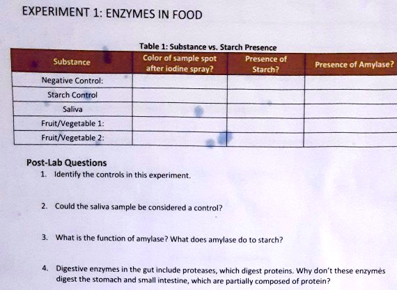 EXPERIMENT 1: ENZYMES IN FOOD Table 1: Substance vs. Starch Presence ...