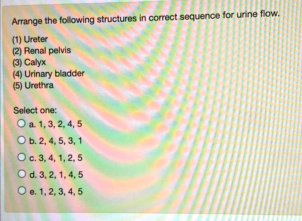 Surgical Anatomy Of The Bladder And Ureter Obgyn Key