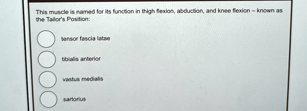 this muscle is named for its function in thigh flexion abduction and ...