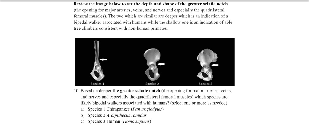 SOLVED:Review the image below to see the depth and shape of the greater ...