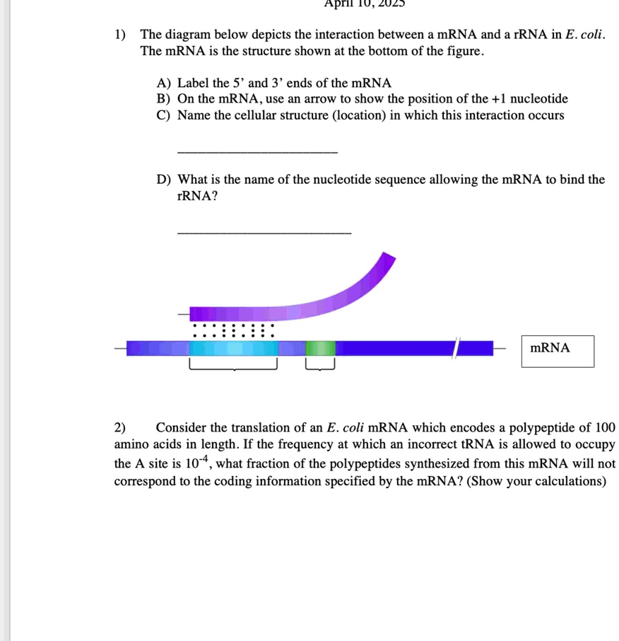 april 10 2025 1 the diagram below depicts the interaction between a ...
