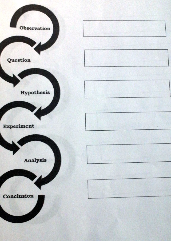 SOLVED: 'Observation Question Hypothesis Experiment Analysis Conclusion ...