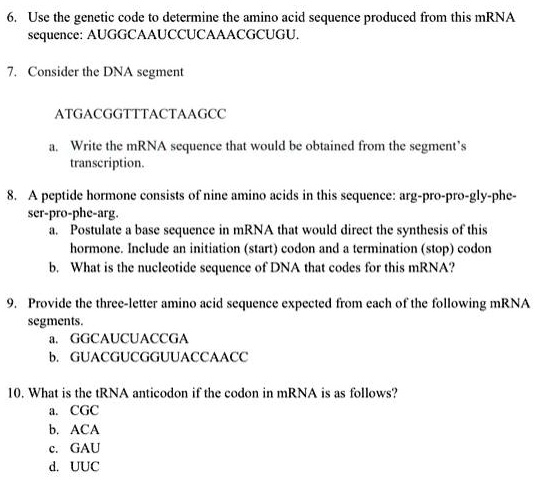 6. Use the genetic code to determine the amino acid sequence produced ...