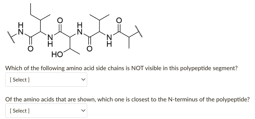 SOLVED: Shown below is a segment of a polypeptide chain. Which of the following amino acid side ...
