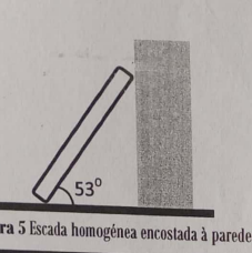 ra 5 Escada homogénea encostada à parede
