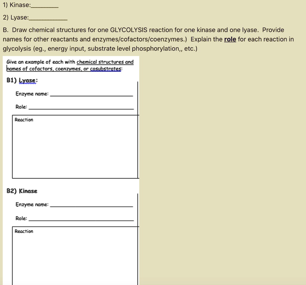 SOLVED:1) Kinase:_ 2) Lyase:_ B Draw chemical structures for one ...