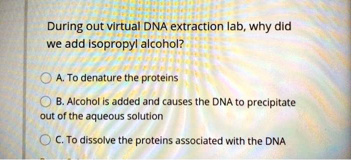 During out virtual DNA extraction lab, why did we add isopropyl alcohol ...