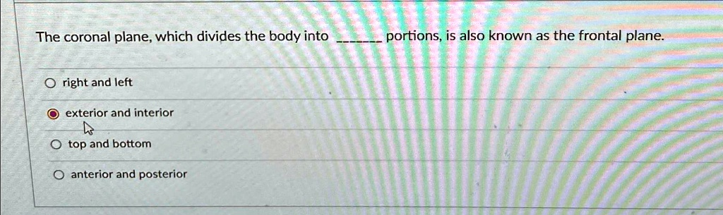 The coronal plane, which divides the body into portions, is also known ...