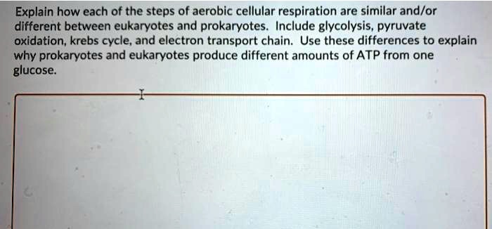 SOLVED: Explain how each of the steps of aerobic cellular respiration ...