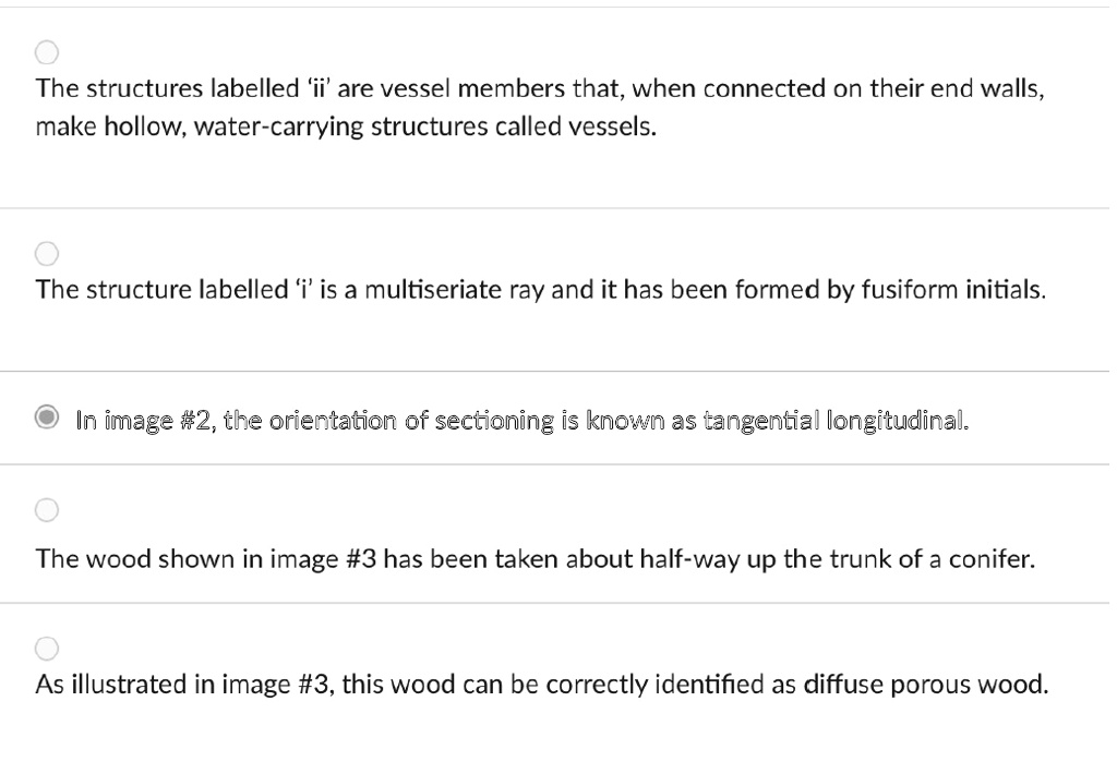 the structures labelled ii are vessel members that when connected on ...