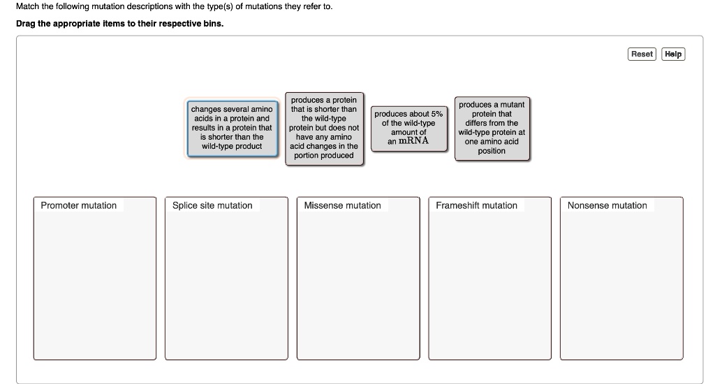 SOLVED: Match the following mutation descriptions with the type(s) of mutations they refer to ...