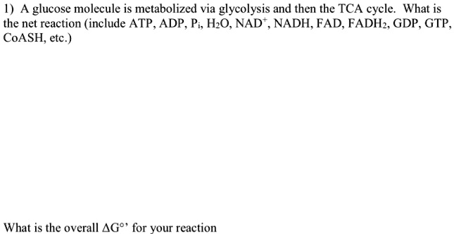 a glucose molecule is metabolized via glycolysis and then the tca cycle ...