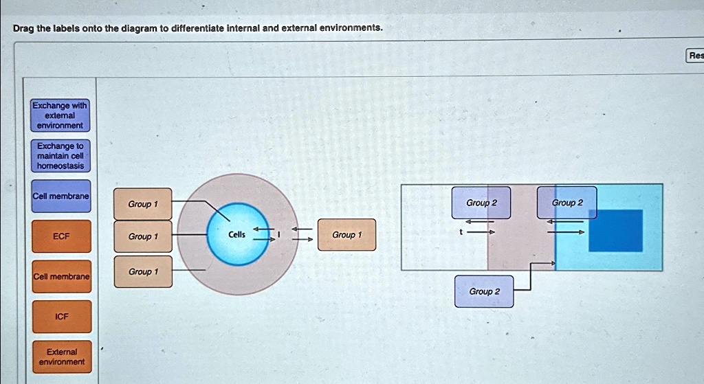 Drag the labels onto the diagram to differentiate internal and external ...