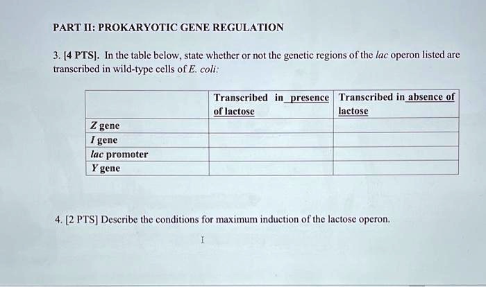 part ii prokaryotic gene regulation 3 4 pts in the table below state ...