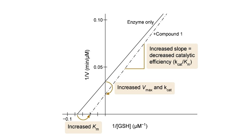 SOLVED: Enzyme only, Compound Increased slope decreased catalytic ...