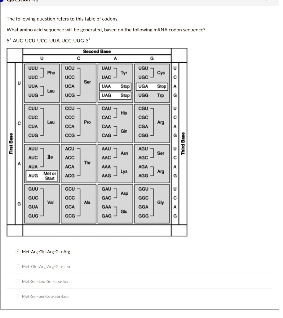 Solved The Following Question Refers To This Table Of Codons What Amino Acid Sequence Will Be