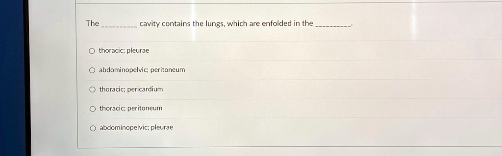 The cavity contains the lungs, which are enfolded in the . ? thoracic ...