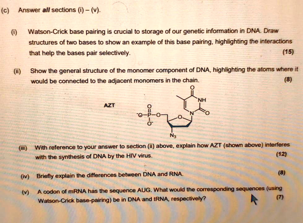 SOLVED: (c) Answer all sections () - (v) Watson-Crick base pairing is ...