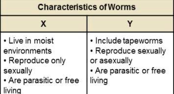 SOLVED: Georgia made a study chart about worms. Which headings best ...