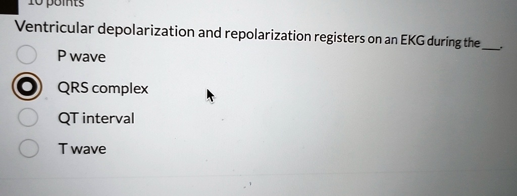 Ventricular depolarization and repolarization registers on an EKG ...