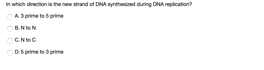SOLVED:In which direction is the new strand of DNA synthesized during ...
