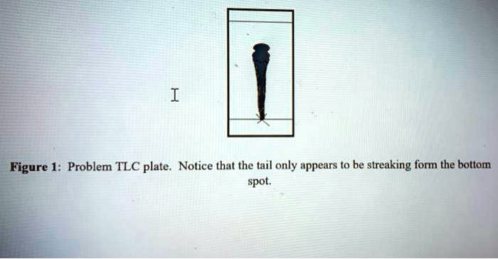 SOLVED: Figure 1: Problem TLC plate: Notice that the tail only appears ...