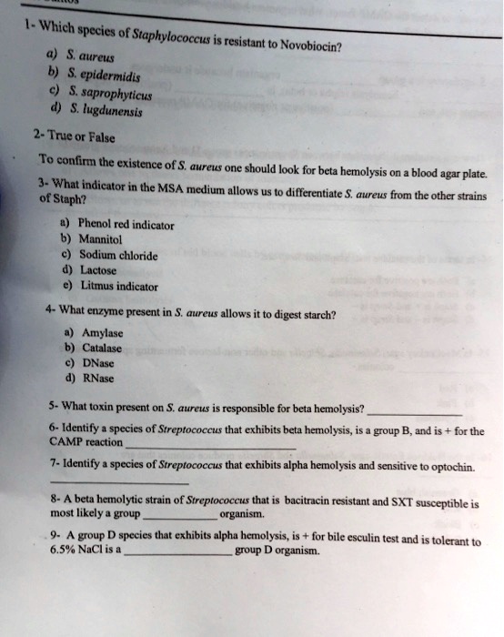 SOLVED:Which species of Staphylococcus is = resistant to Novobiocin ...