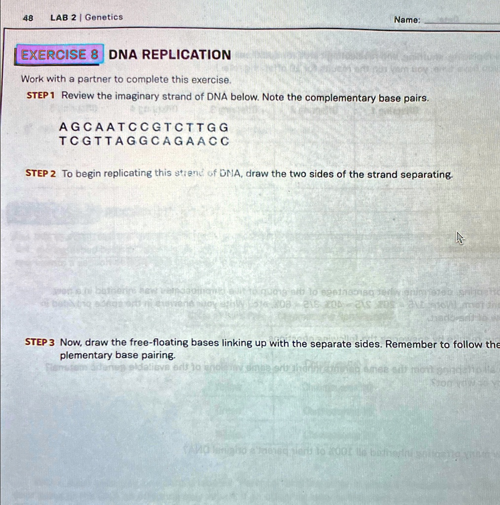 SOLVED: 48 LAB 2 | Genetics Name: EXERCISE 8 DNA REPLICATION Work with a partner to complete ...