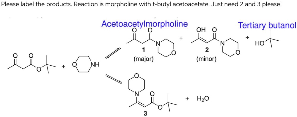 SOLVED: Please label the products. Reaction is morpholine with t-butyl ...