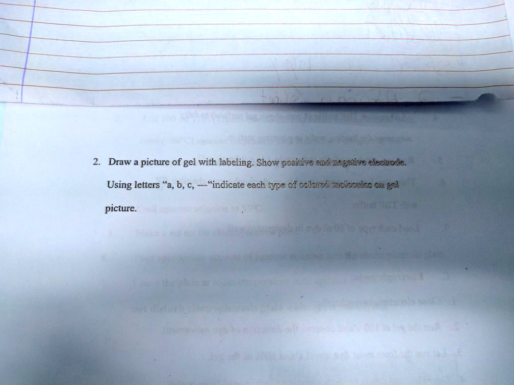 SOLVED: Draw a picture of a gel with labeling: Show positive and ...