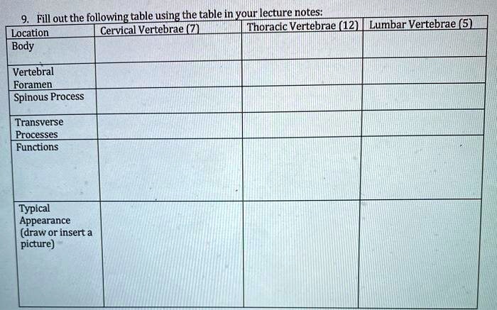 Fill out the following table: Cervical Vertebrae (7) Thoracic Vertebrae ...