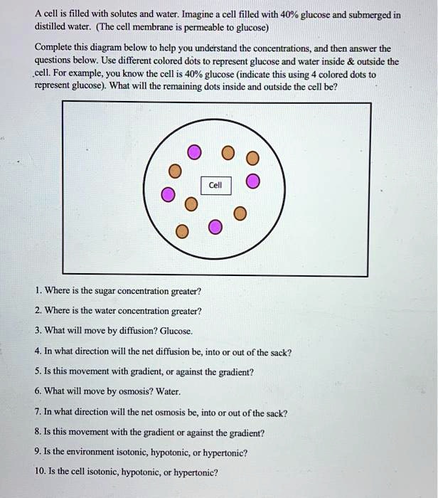 a cell is filled with solutes and water imagine cell filled with 40 ...