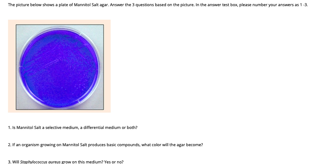 the picture below shows plate of mannitol salt agar answer the ...