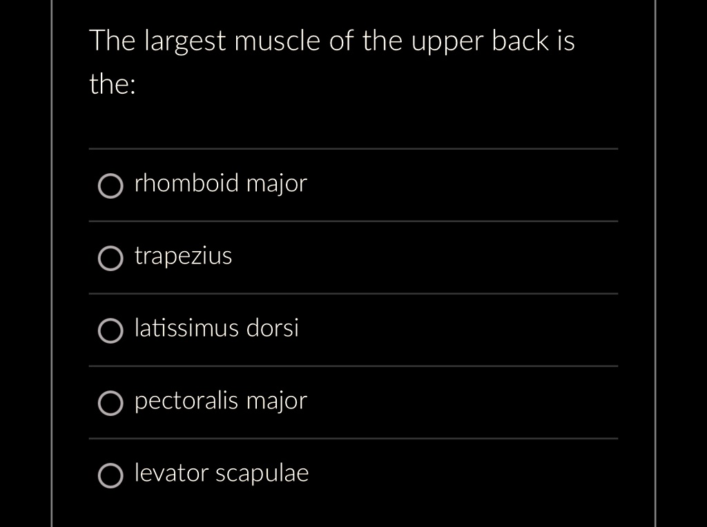 The largest muscle of the upper back is the: rhomboid major trapezius ...