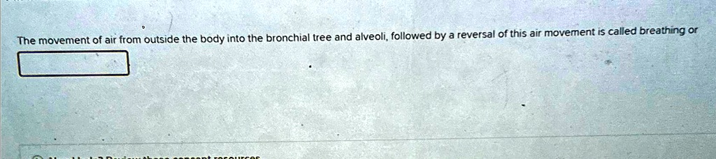 The movement of air from outside the body into the bronchial tree and ...