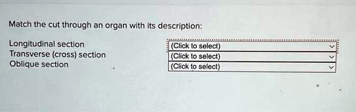 match the cut through an organ with its description longitudinal ...