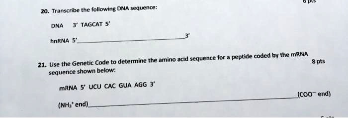 SOLVED: 20. Transcribe the following DNA sequence: DNA TAGCAT 5' hnRNA amino acid sequence for ...