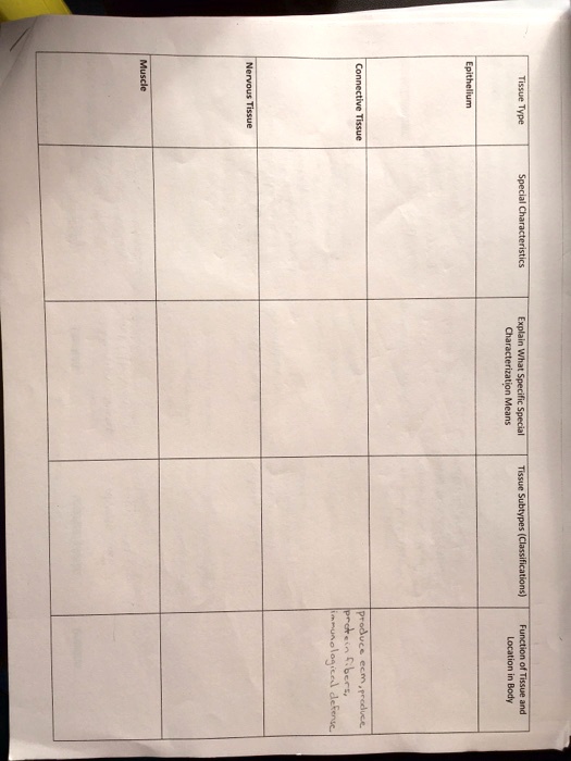 Tissue Type Special Characteristics Explain What Specific Special ...
