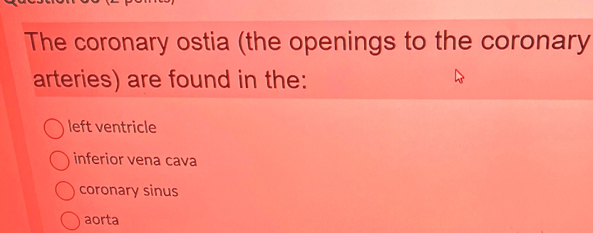 The coronary ostia (the openings to the coronary arteries) are found in ...