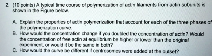 [get Answer] 2 10 Points A Typical Time Course Of Polymerization Of