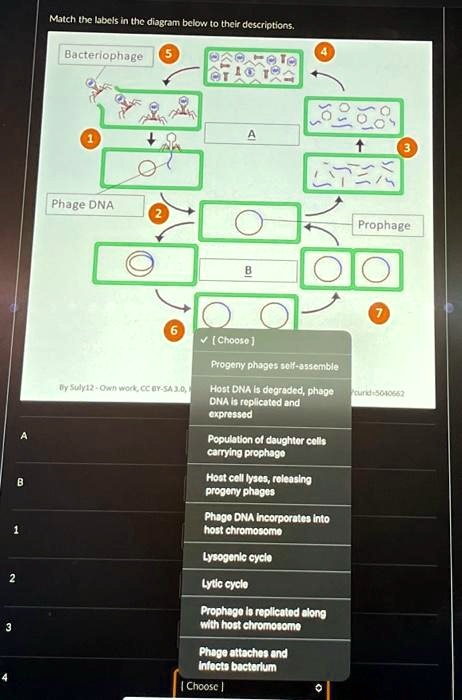 Match the labels in the diagram below to their descriptions ...